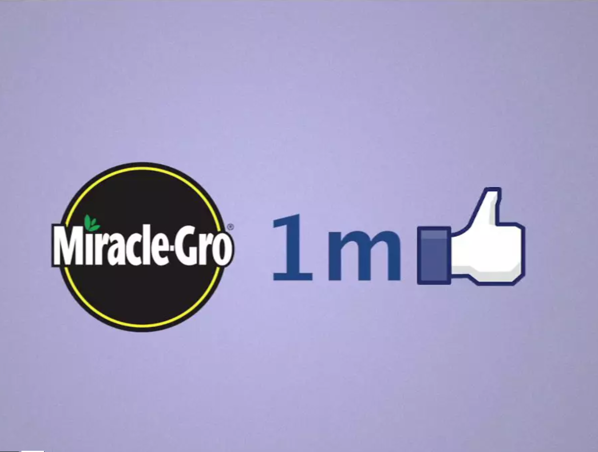 Hello FIRST BITE - David Lan